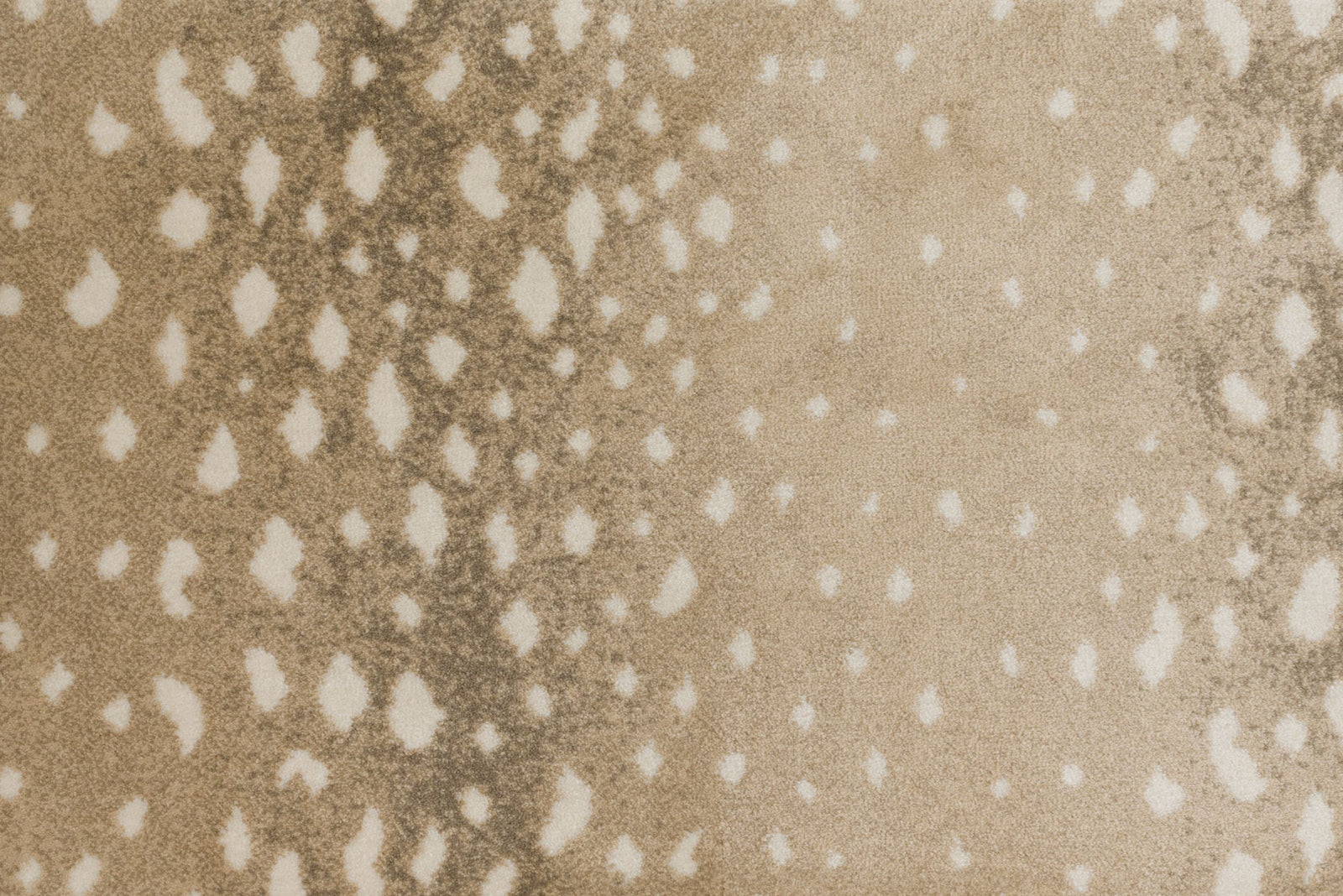 STARK Antilocarpa Animal Style Carpet