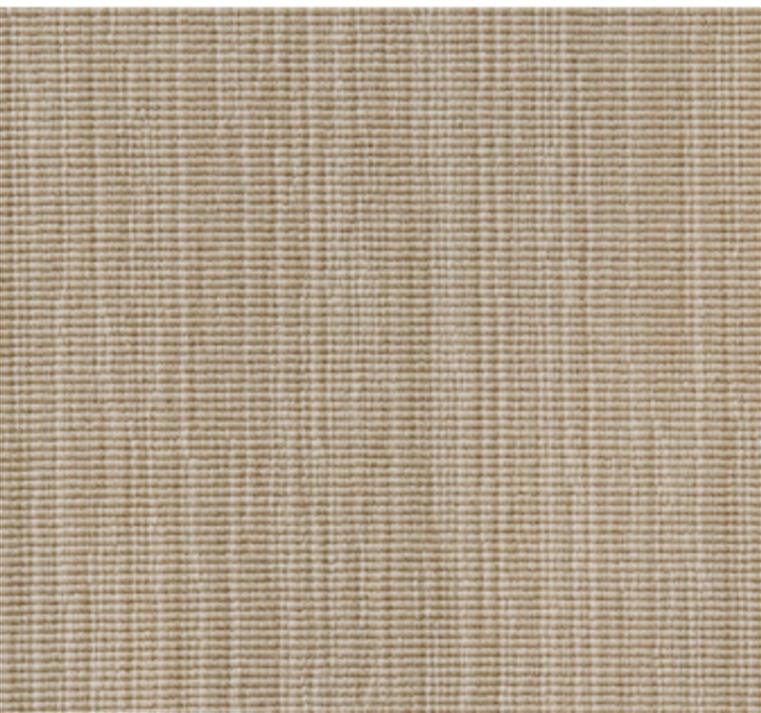 STARK Tandy Velvet Solid & Texture Carpet